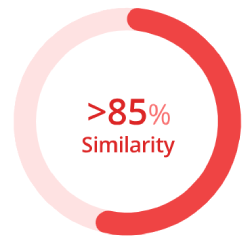 What Are Different Types of Plagiarism and How to Avoid Them? Trinka