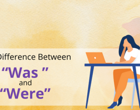 Example vs Sample - Learn the Difference about these words